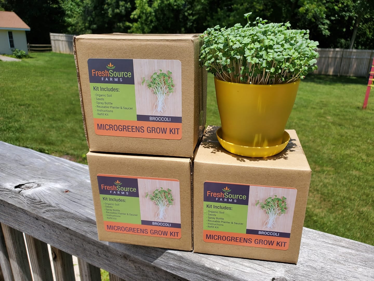 Microgreens Grow Kit Fresh Source Farms LLC